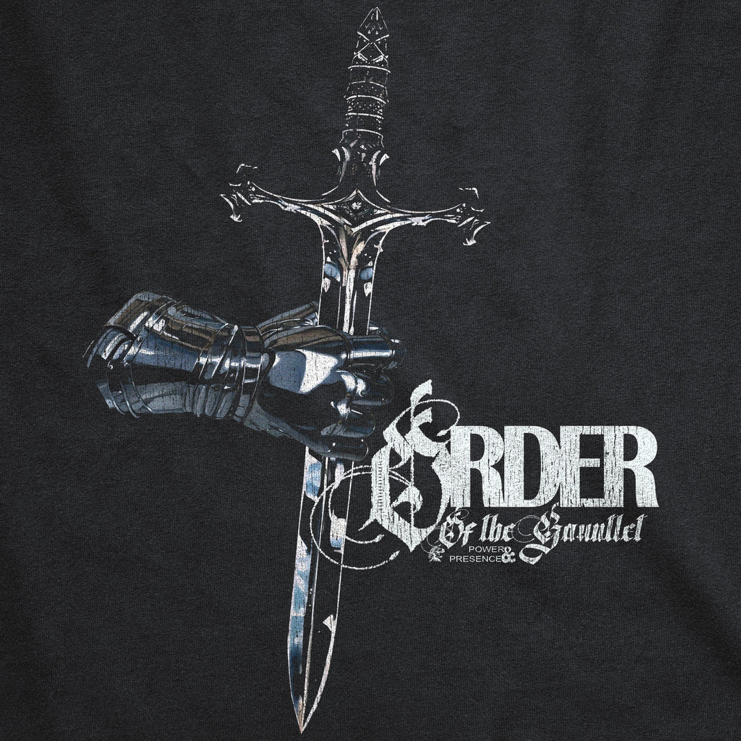 OotG - Paladin Tee – tsaurus.com